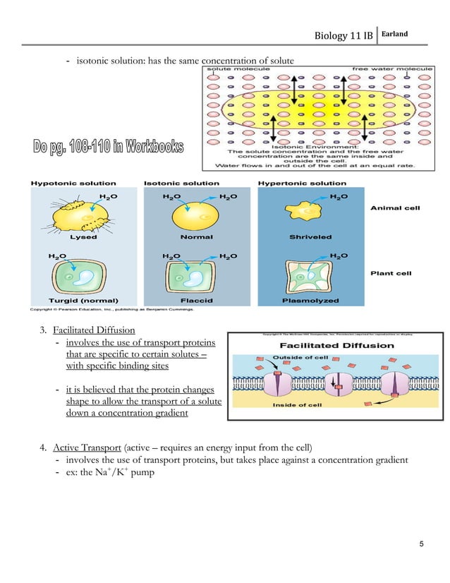 Topic2.4 membrane-notes | PDF