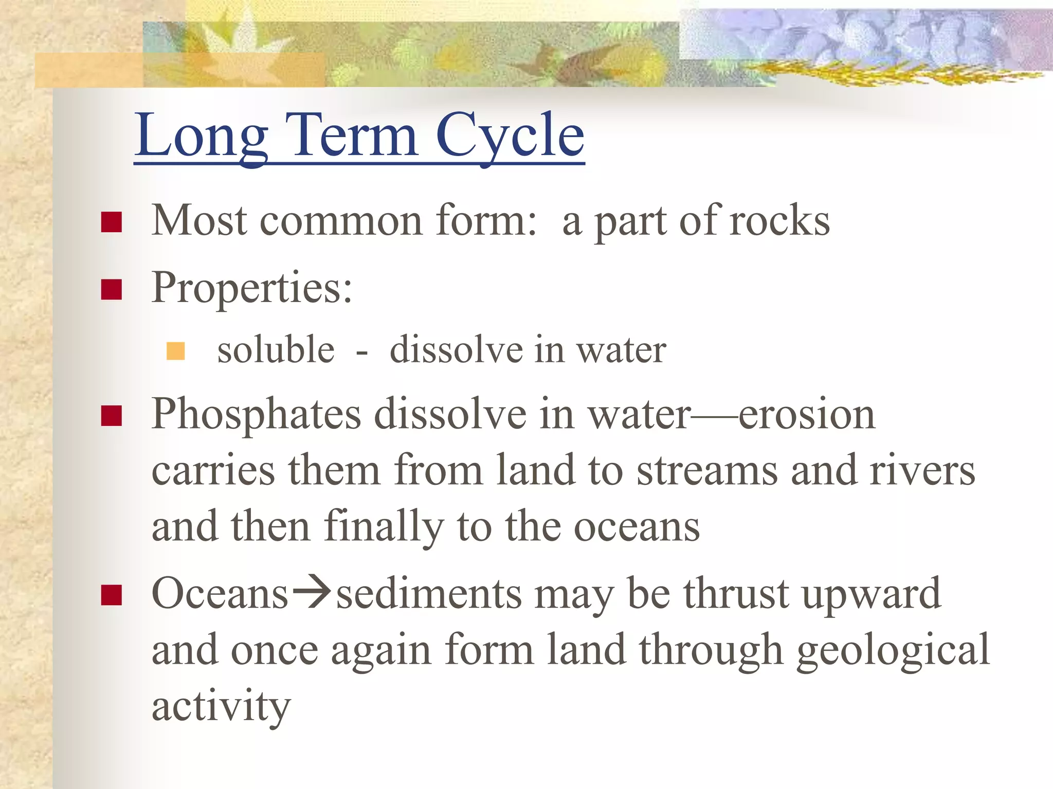 Phosphorus cycle | PPT