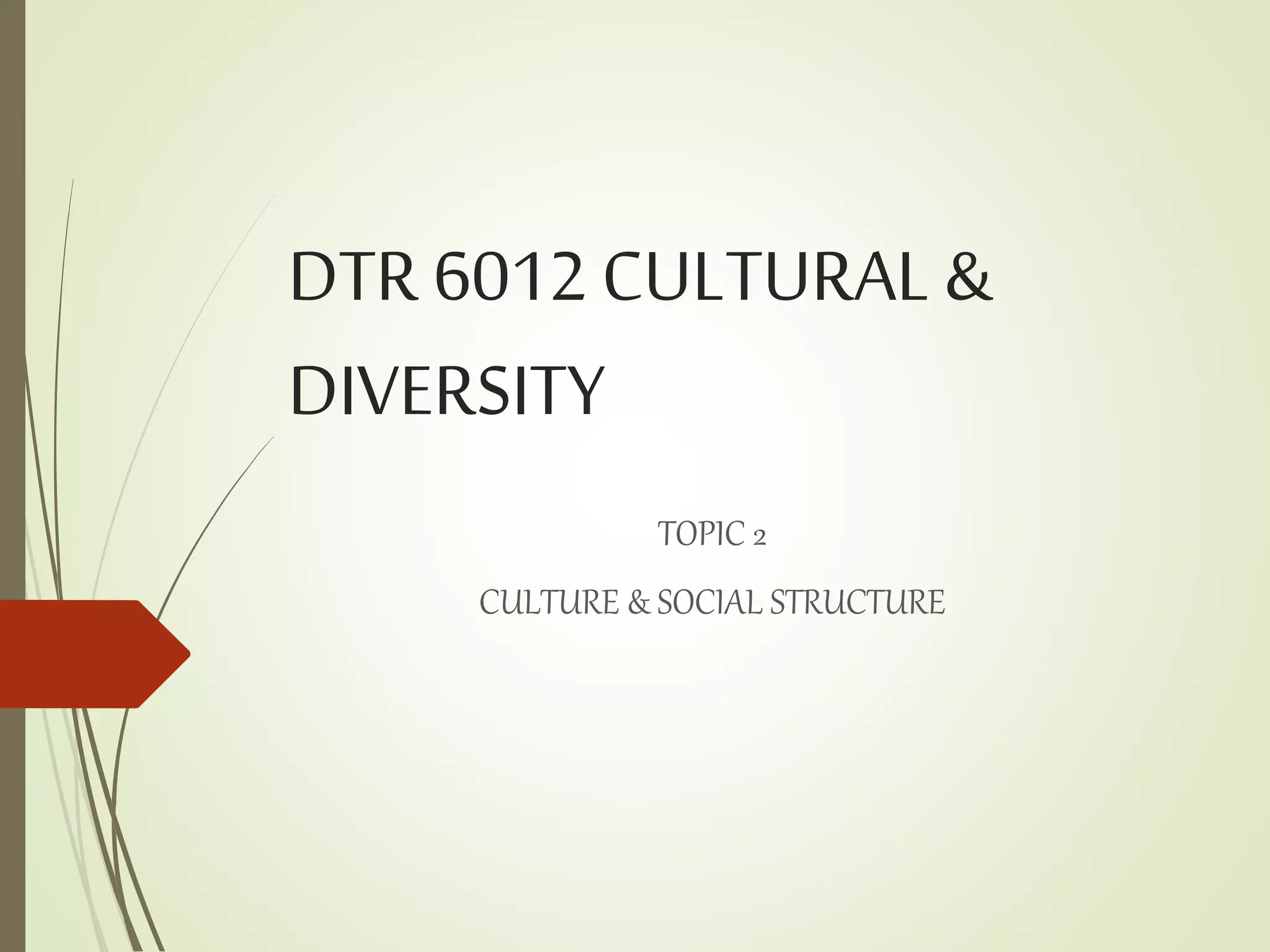 Culture and Social Structure | PPTX