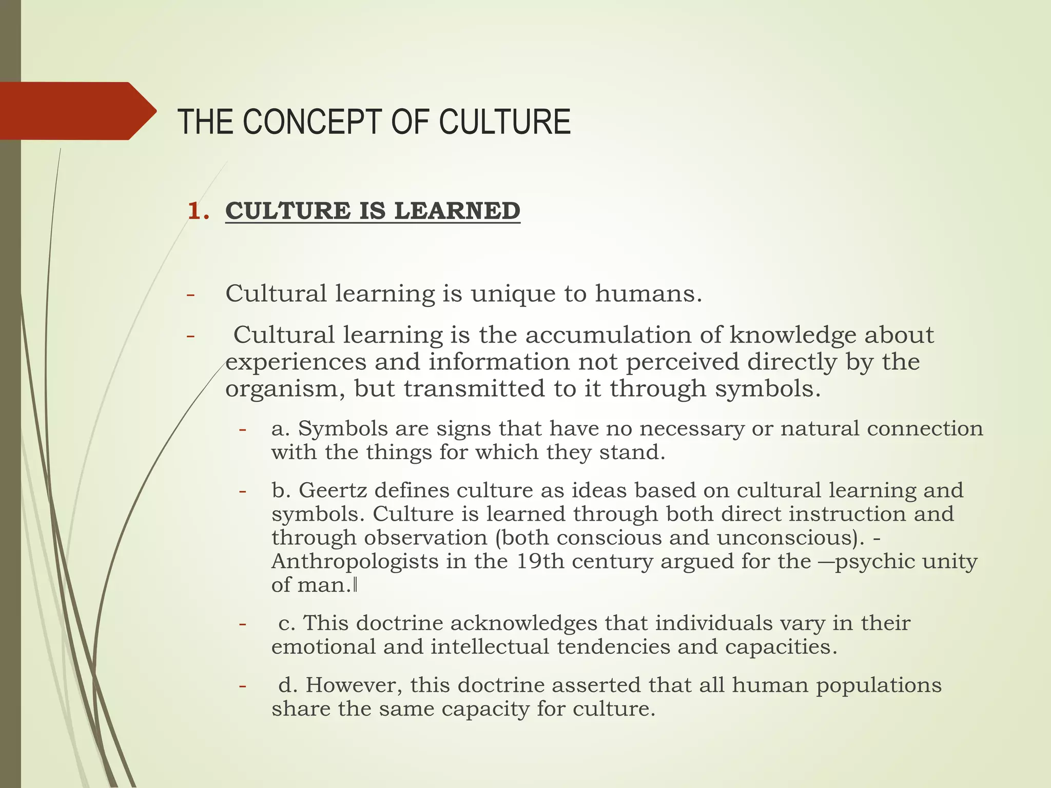 Culture and Social Structure | PPTX