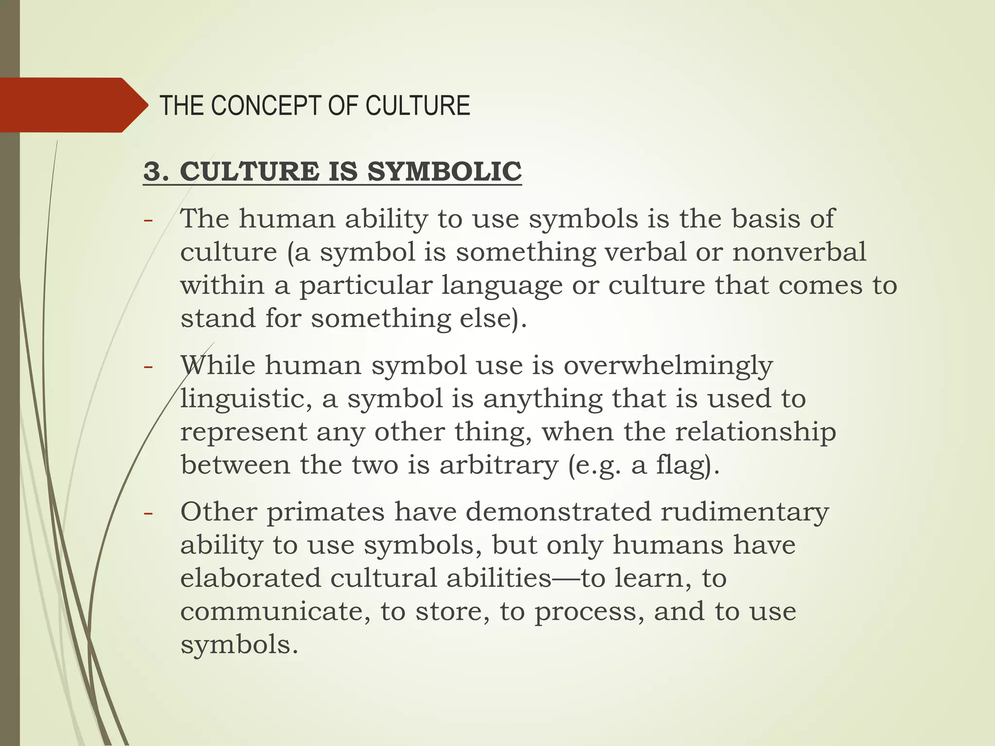 Culture and Social Structure | PPTX