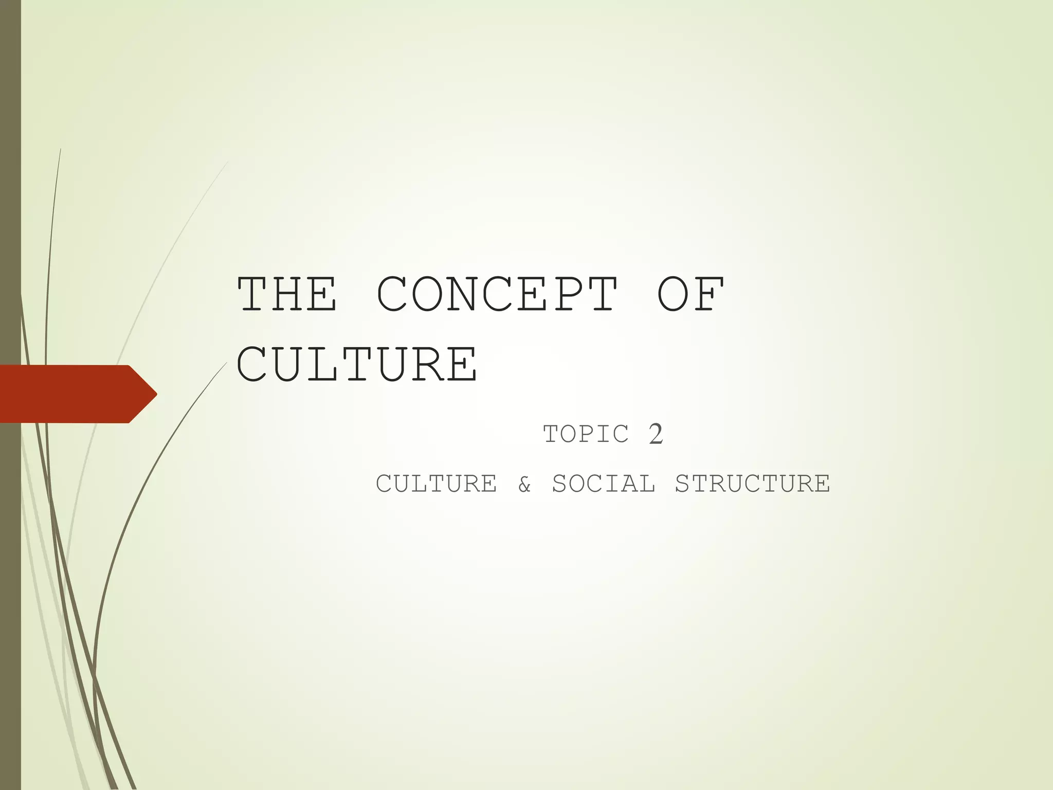 Culture and Social Structure