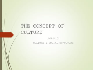 Culture and Social Structure | PPTX