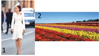 Chapter 2-giving compliments | PPTX