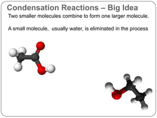 Topic 20 4 condensation reactions | PPTX