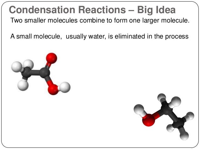 Topic 20 4 condensation reactions