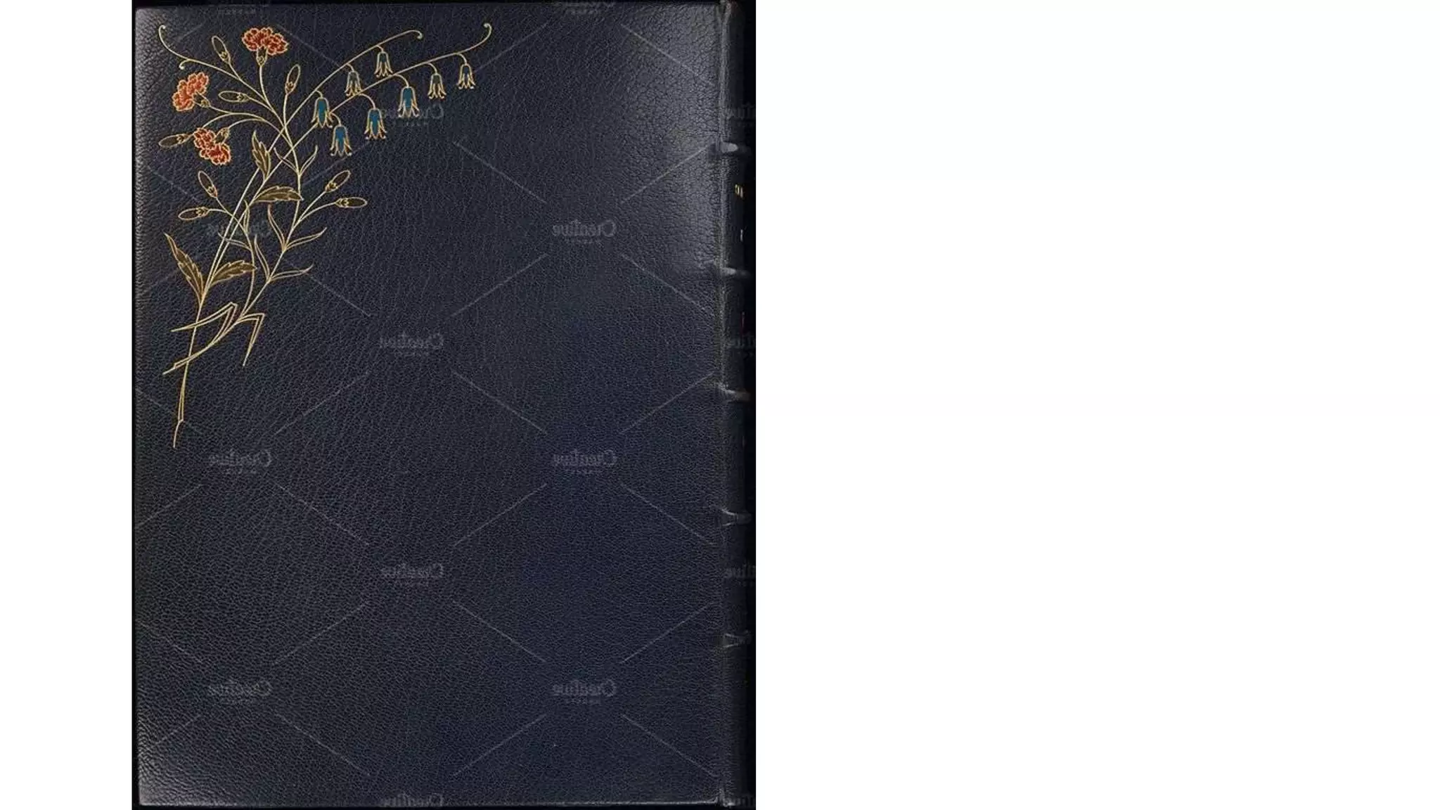 Diction, Figures of Speech, and Language Variation | PPTX