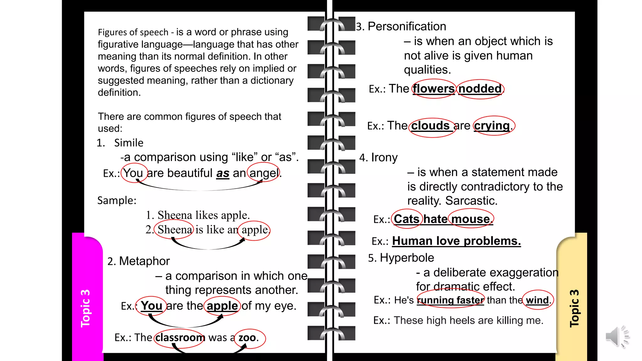 Diction, Figures of Speech, and Language Variation | PPTX