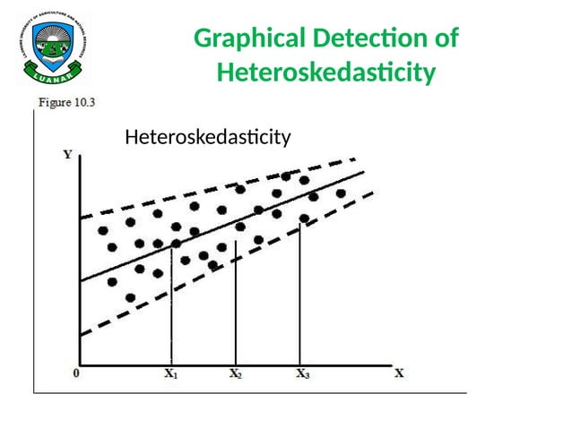 Topic2a-problems_in_modelling_heteroskedasticity.pptx