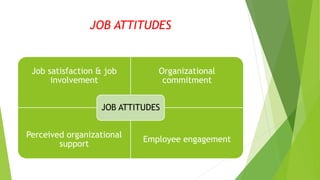 TOPIC 2 ATTITUDE, BEHAVIOR, PERSONALITY AND VALUES.ppt