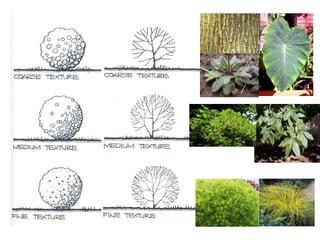 Topic 2 basic landscape design | PPTX