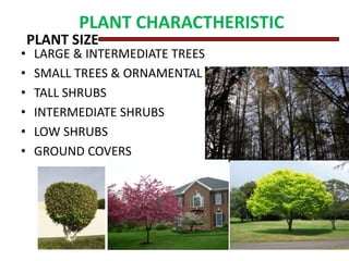 Topic 2 basic landscape design | PPTX