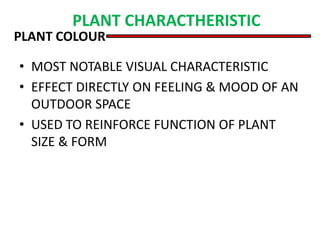 Topic 2 basic landscape design | PPTX