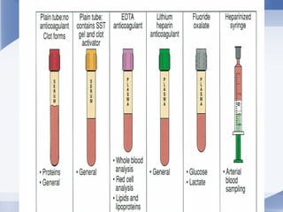 Biochemical Analysis Chemical Pathology - Error Types | PPT