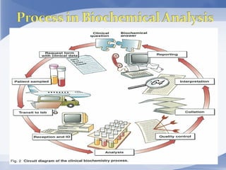 Biochemical Analysis Chemical Pathology - Error Types | PPTX