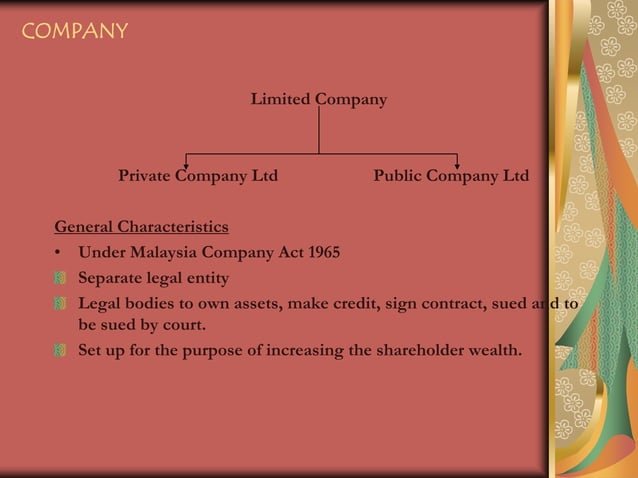 Topic 2 Business Entity | PPT