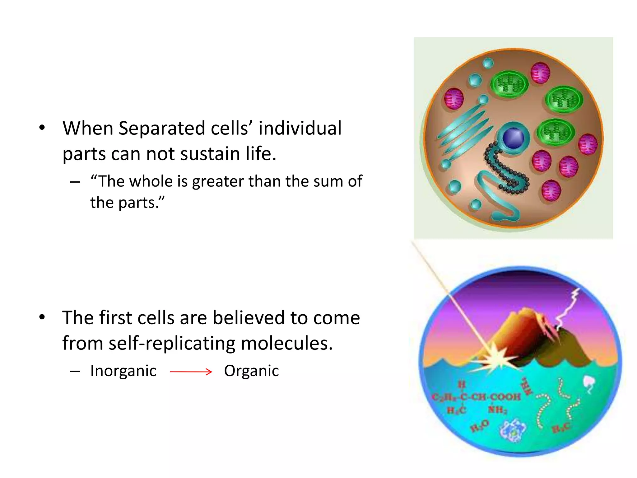 Topic 2 cells-1 | PPTX