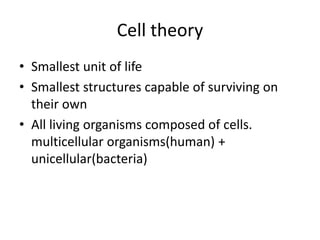 Topic 2 –cells | PPT
