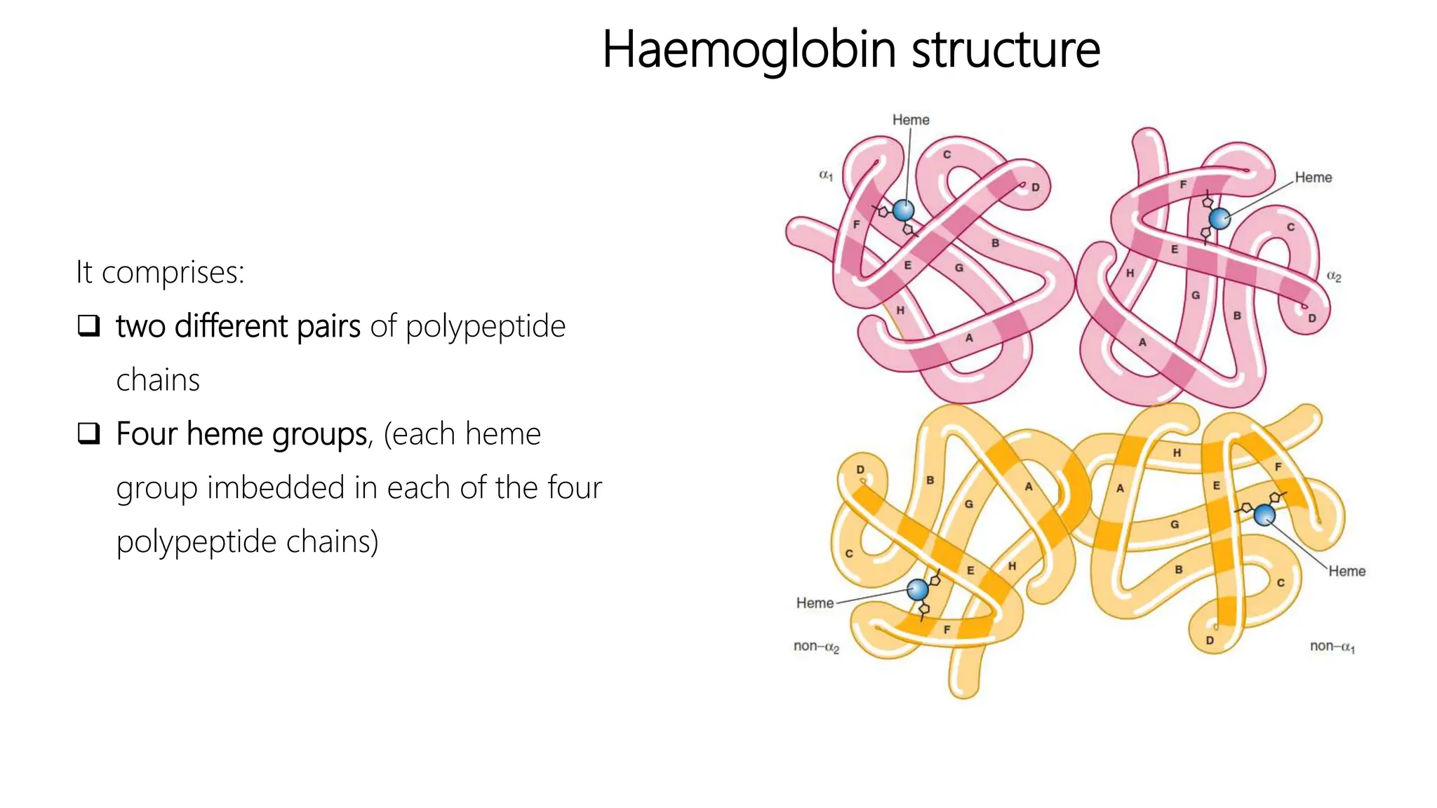 hemoglobin structure types RBC destrcution and Bilirubim metabolism.pptx