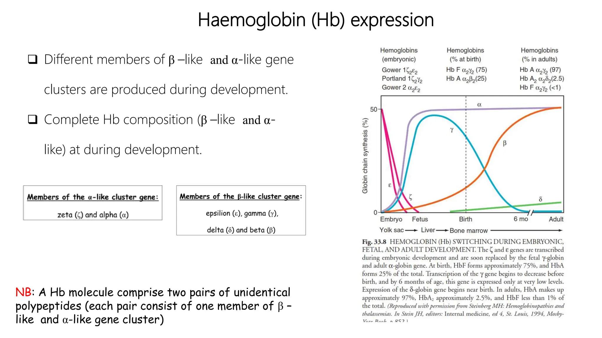 hemoglobin structure types RBC destrcution and Bilirubim metabolism.pptx