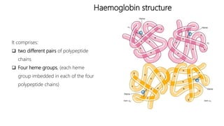 hemoglobin structure types RBC destrcution and Bilirubim metabolism.pptx