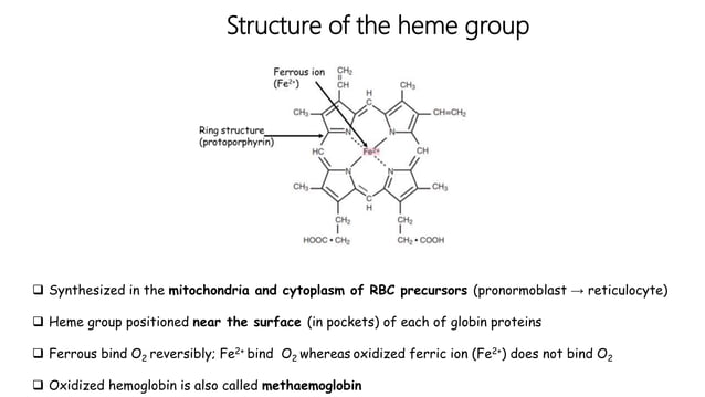 hemoglobin structure types RBC destrcution and Bilirubim metabolism.pptx