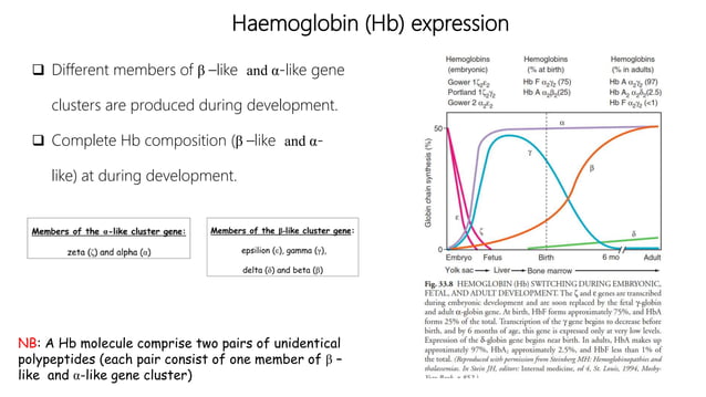 hemoglobin structure types RBC destrcution and Bilirubim metabolism.pptx