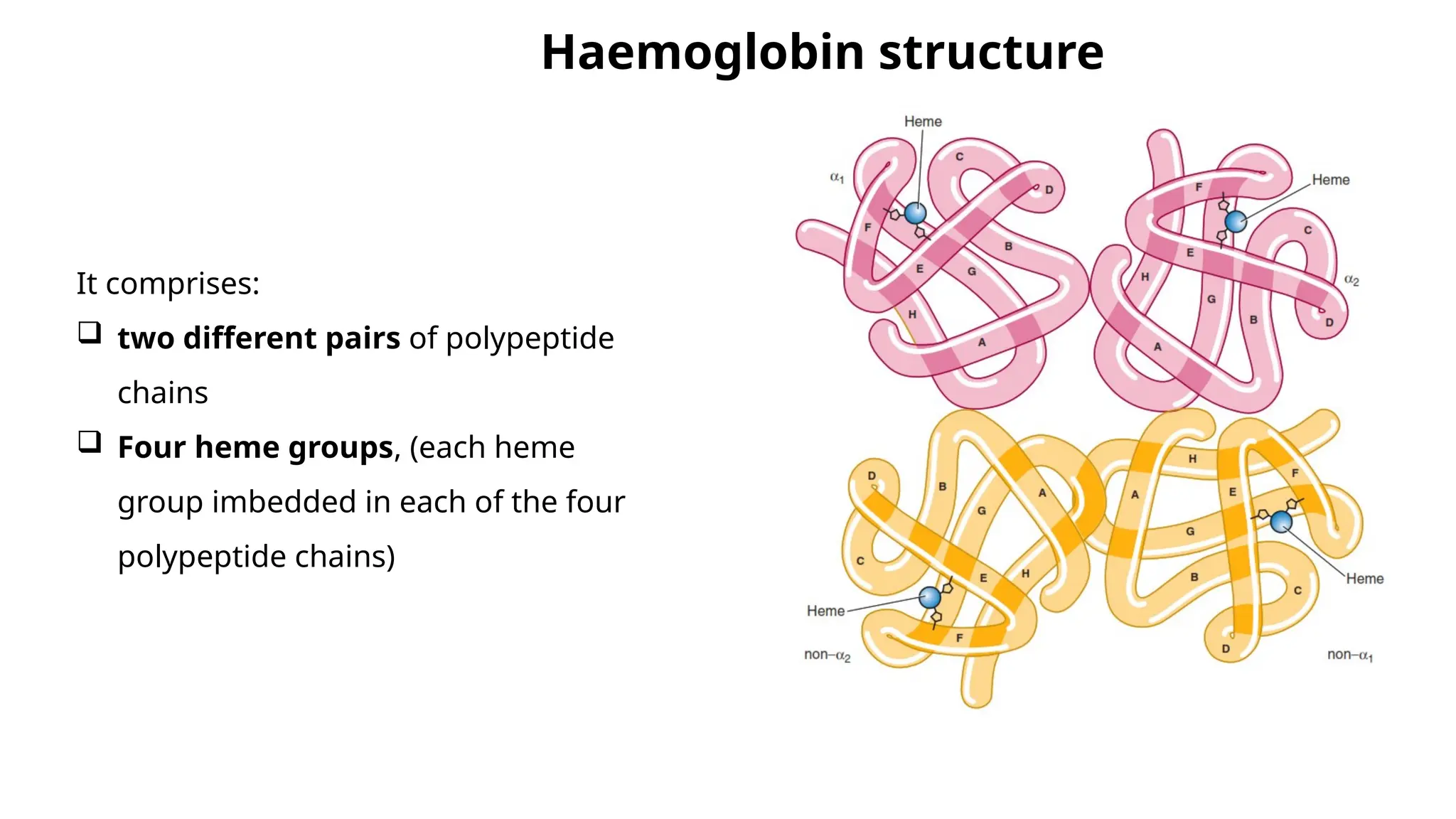 Topic 2 hemoglobin structure types RBC destrcution and Bilirubim ...