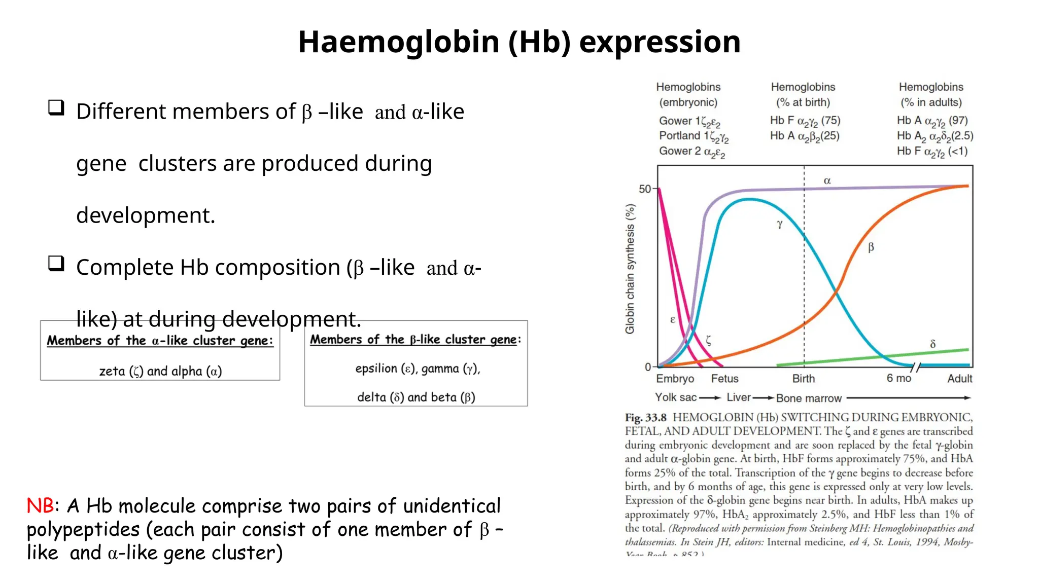 Topic 2 hemoglobin structure types RBC destrcution and Bilirubim ...