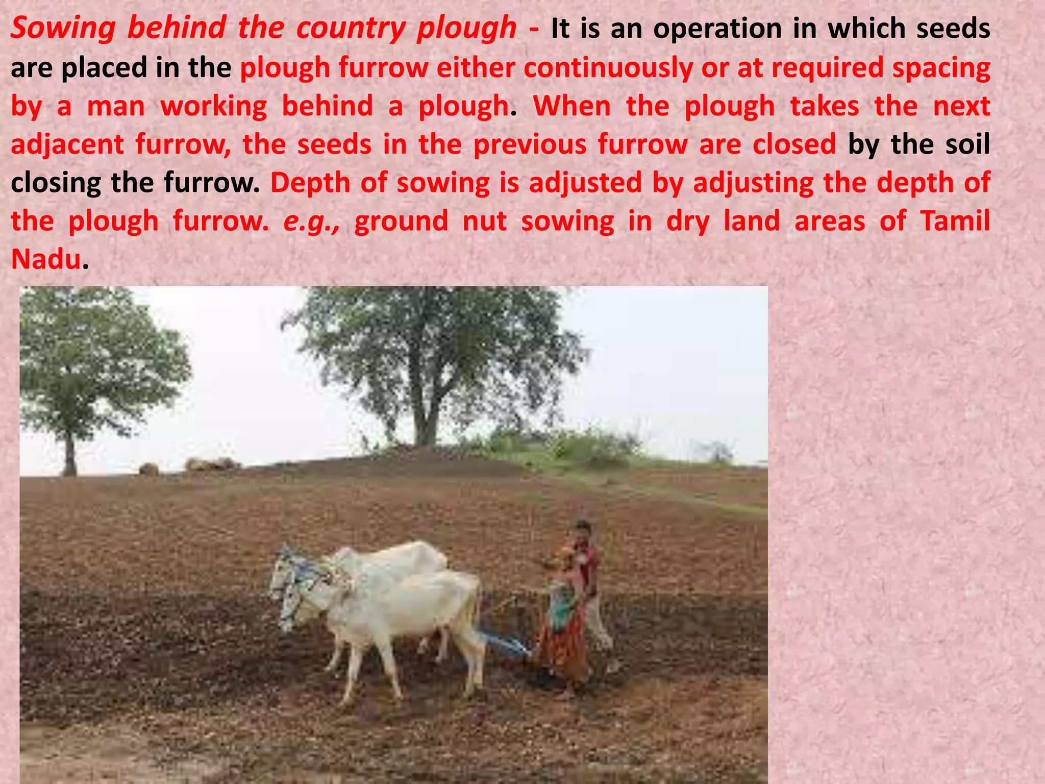 Seed and different methods of sowing | PPT