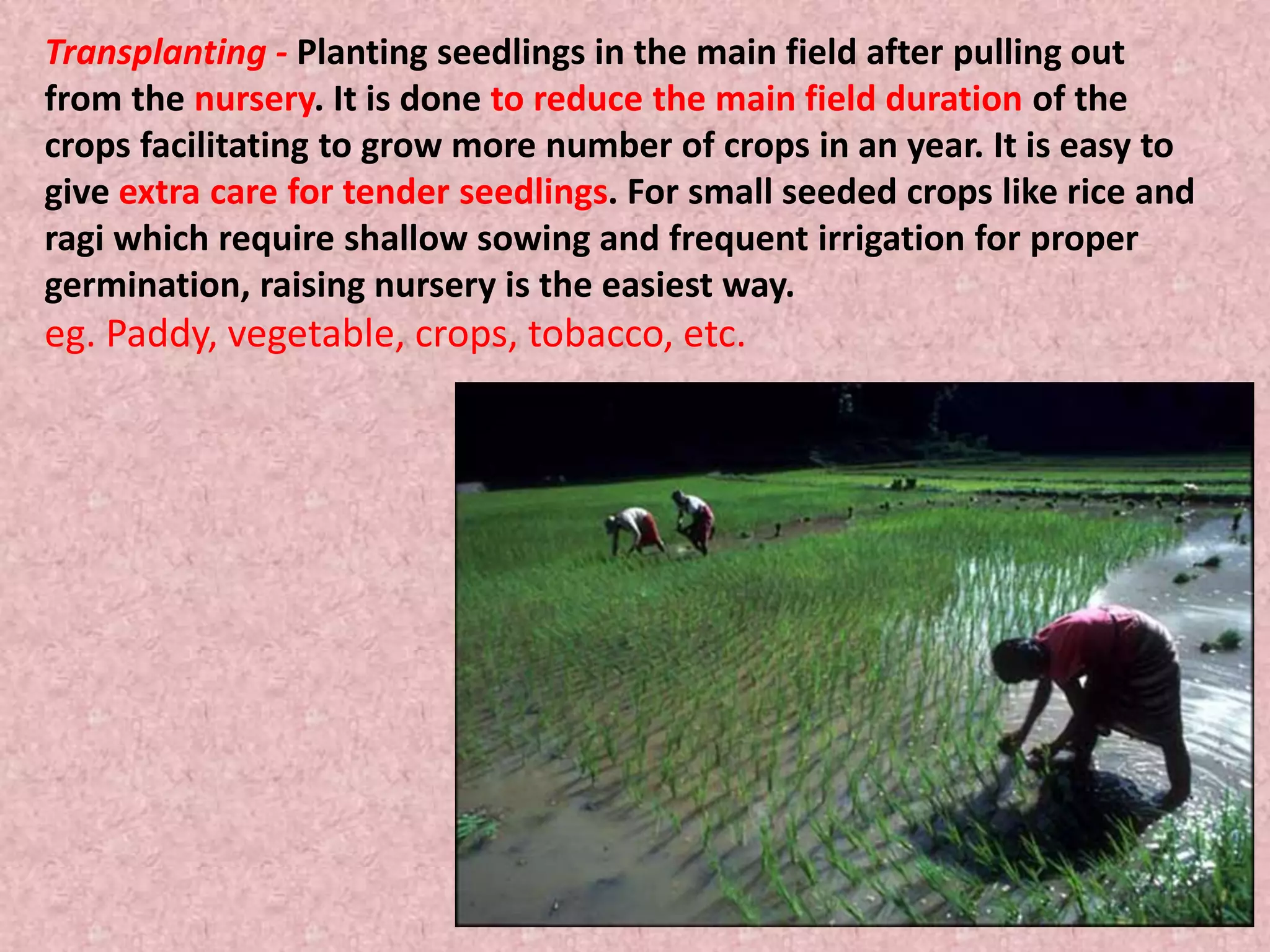 Seed and different methods of sowing | PPT