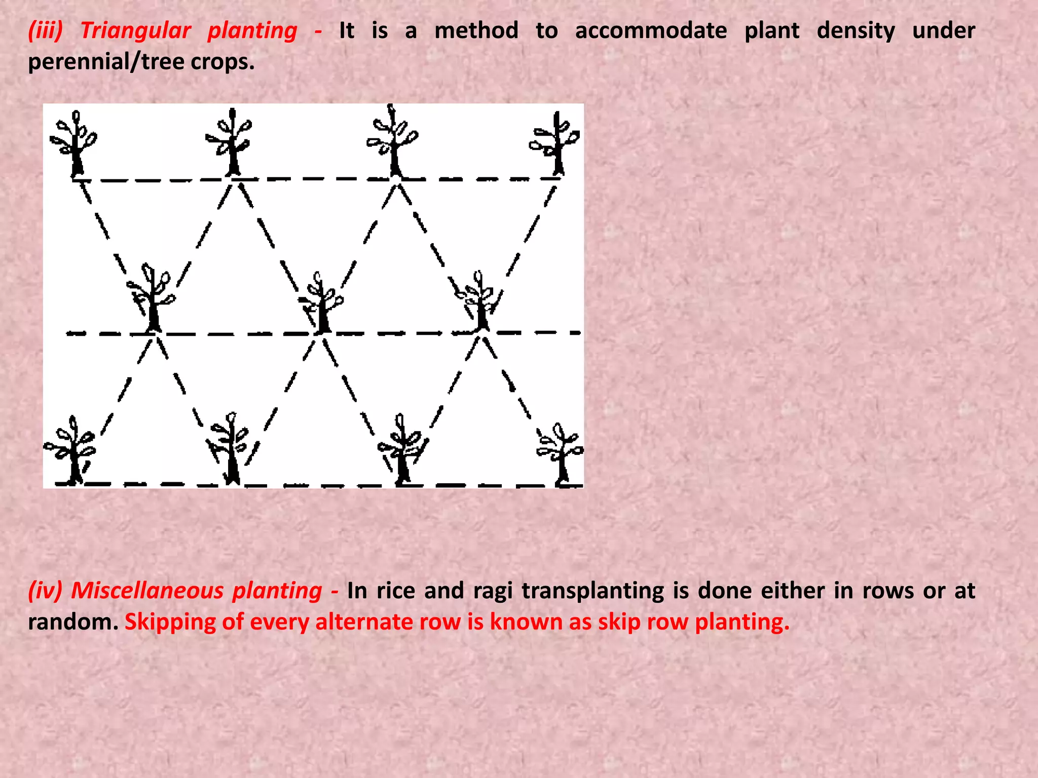 Seed and different methods of sowing | PPT