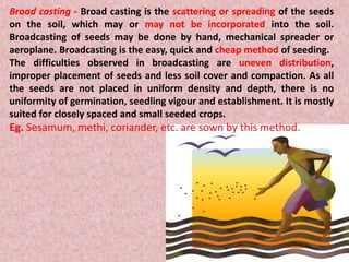 Seed and different methods of sowing | PPT
