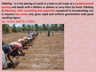 Seed and different methods of sowing | PPT