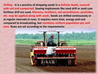 Seed and different methods of sowing | PPT