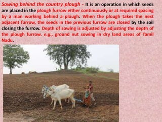 Seed and different methods of sowing | PPT