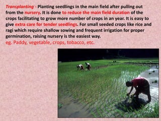 Seed and different methods of sowing | PPT