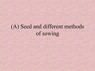 Seed and different methods of sowing | PPT
