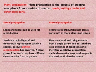 Seed and different methods of sowing | PPT