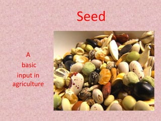 Seed and different methods of sowing | PPT