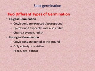 Seed and different methods of sowing | PPT