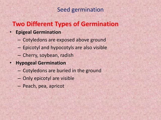 Seed and different methods of sowing | PPT