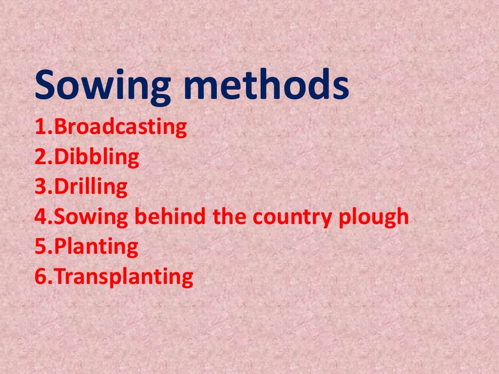 Seed And Different Methods Of Sowing