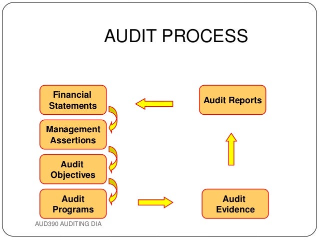 Topic 2 objectives and scope of financial statement audit