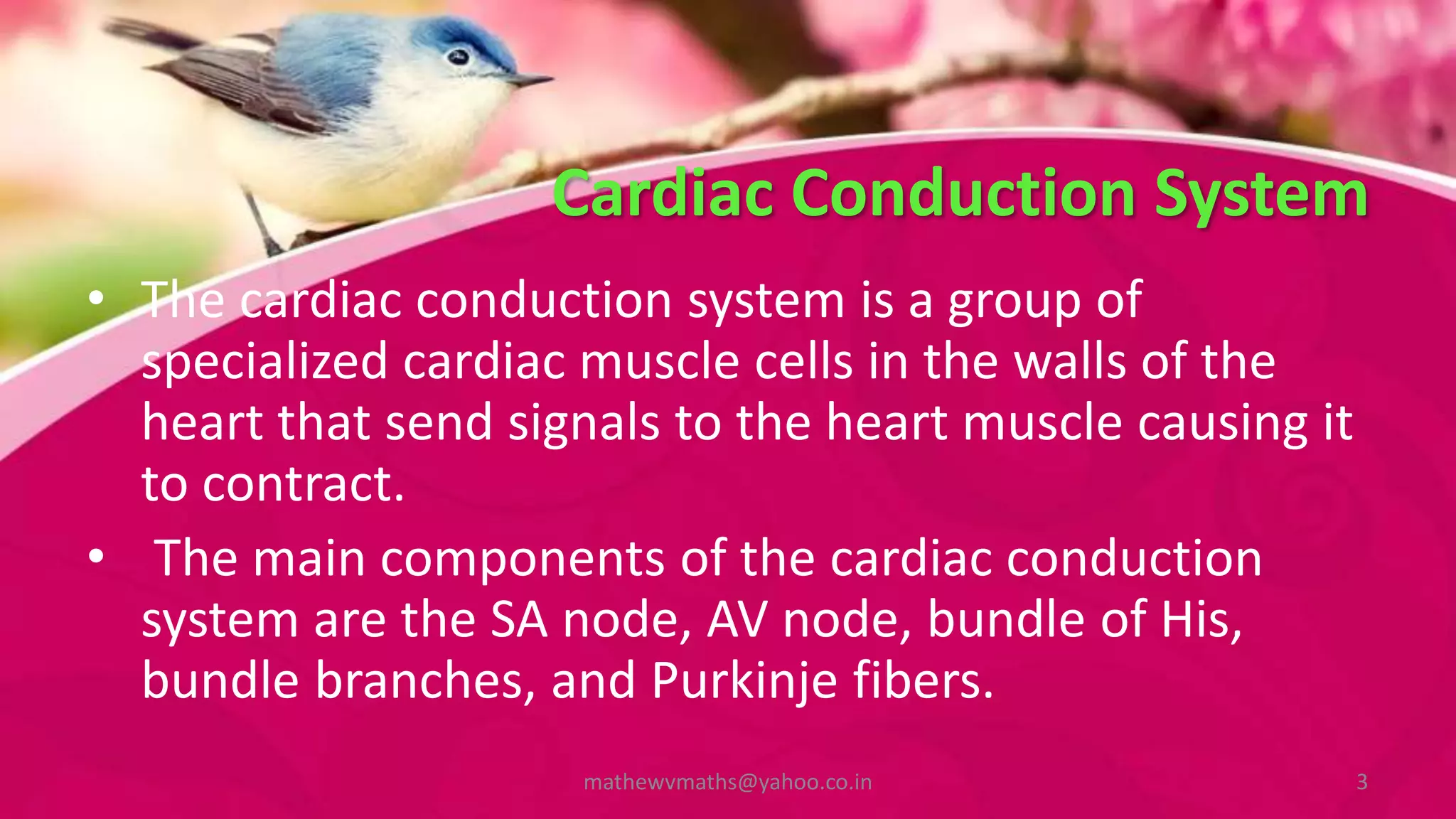 Cardio Vascular System assessment- Nursing PPT | PPTX