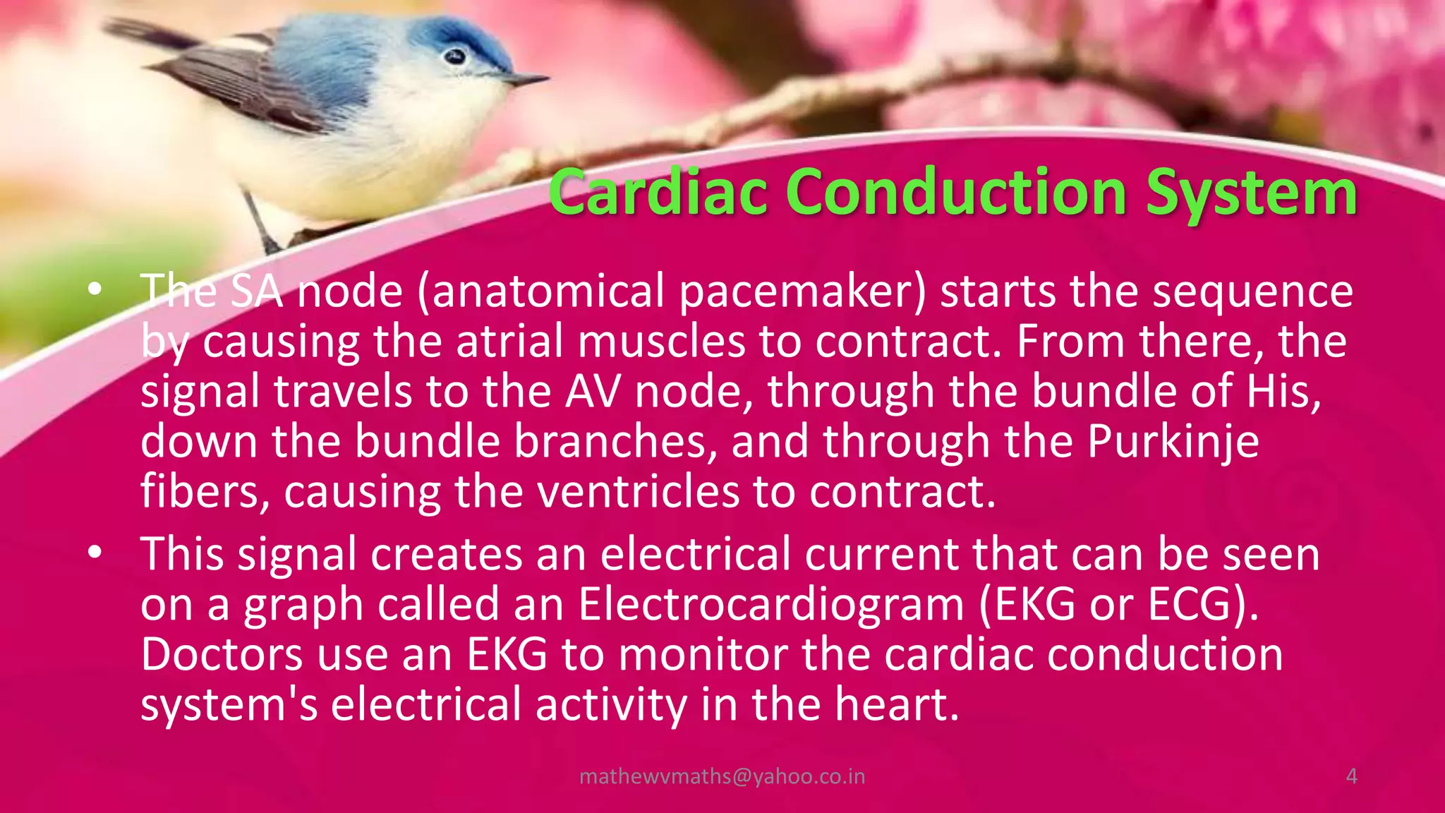 Cardio Vascular System assessment- Nursing PPT | PPTX