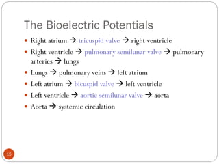 Sources of bioelectric potentials | PDF