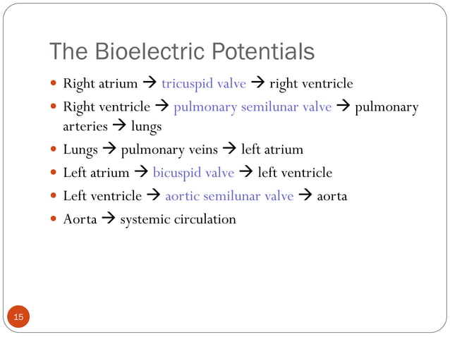 Sources of bioelectric potentials | PDF | Heart and Cardiovascular ...