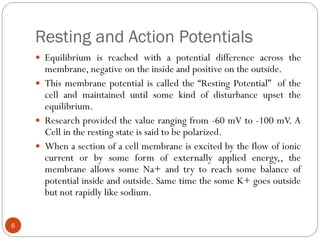 Sources of bioelectric potentials | PDF