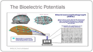 Topic 2 sources of bioelectric potentials | PDF | Heart and ...